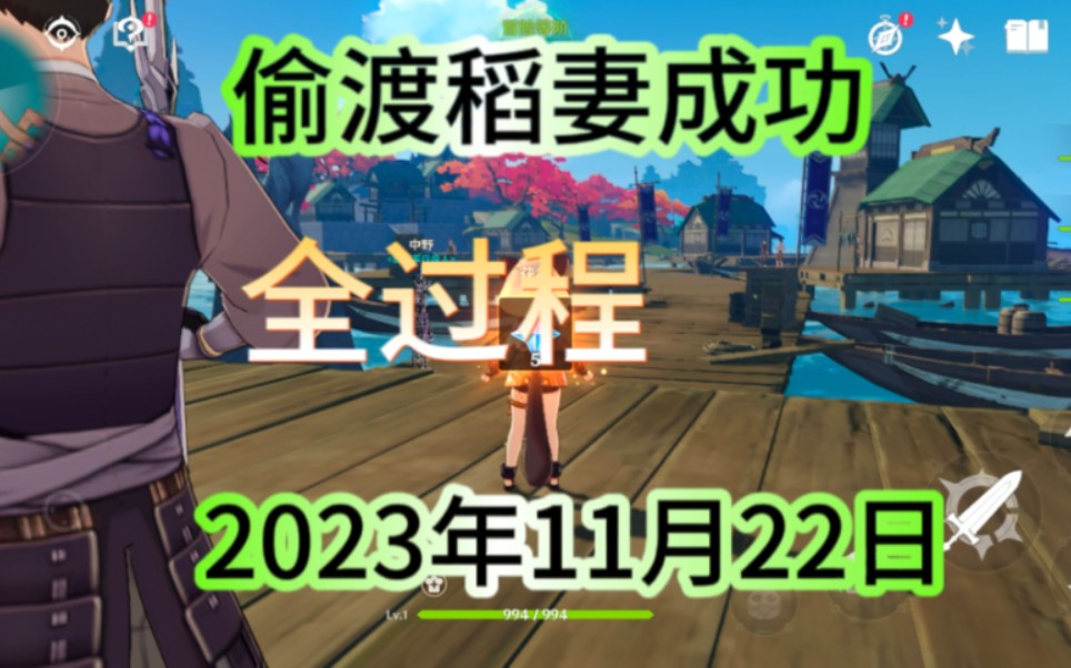 偷渡稻妻成功,全过程,教程在简介。
