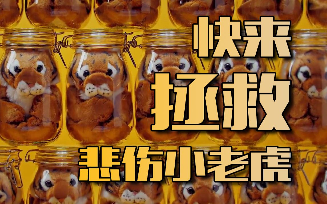 快来拯救被塞进罐子的悲伤小老虎!动物保护组织最新创意公益广告