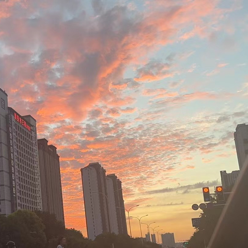 梦想之橙er 