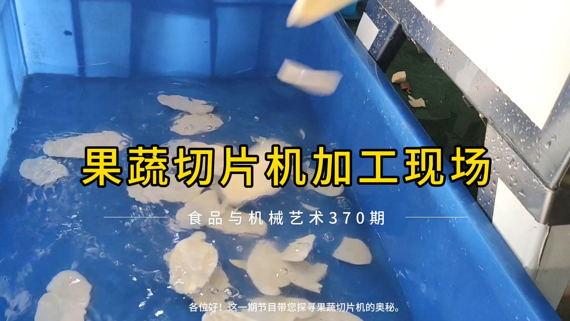 黄瓜斜切片机 地瓜切片机 果蔬切片切丁机操作演示