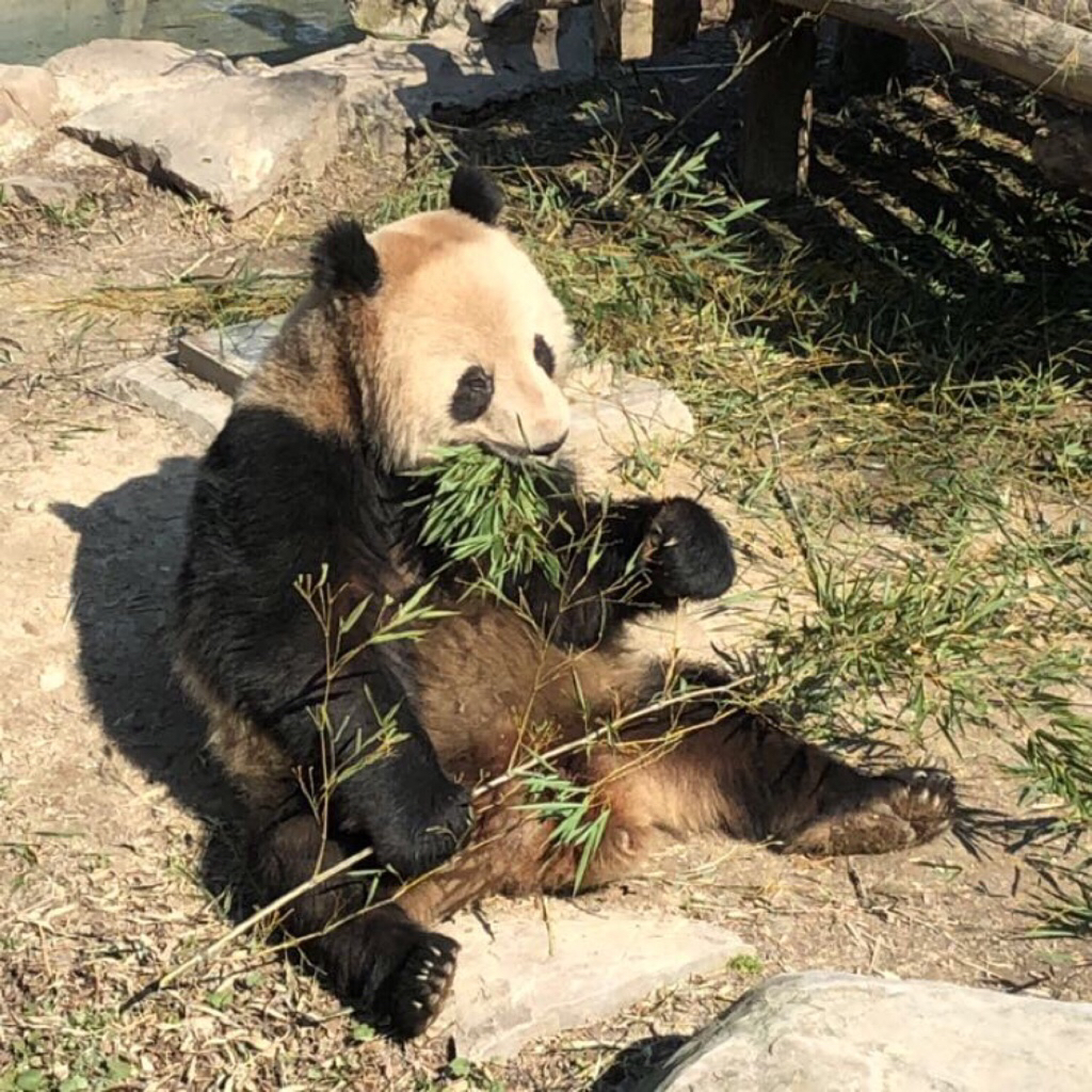 十口儿武 