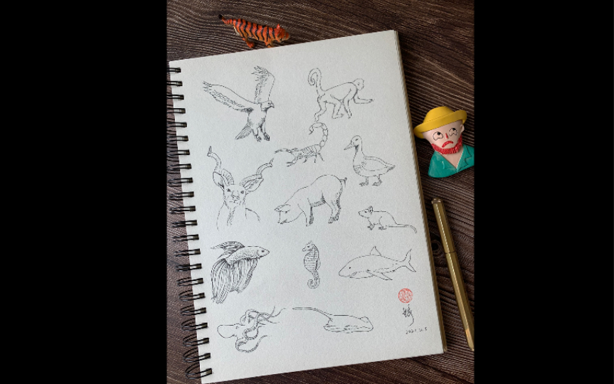 【钢笔画】小动物们-生活小物系列第六辑抽空画了点可爱有趣的小...