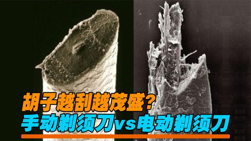 胡子越刮越茂盛?手动剃须刀vs电动剃须刀,放大1000倍看效果