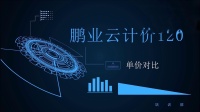 计价软件-鹏业云计价i20单价对比