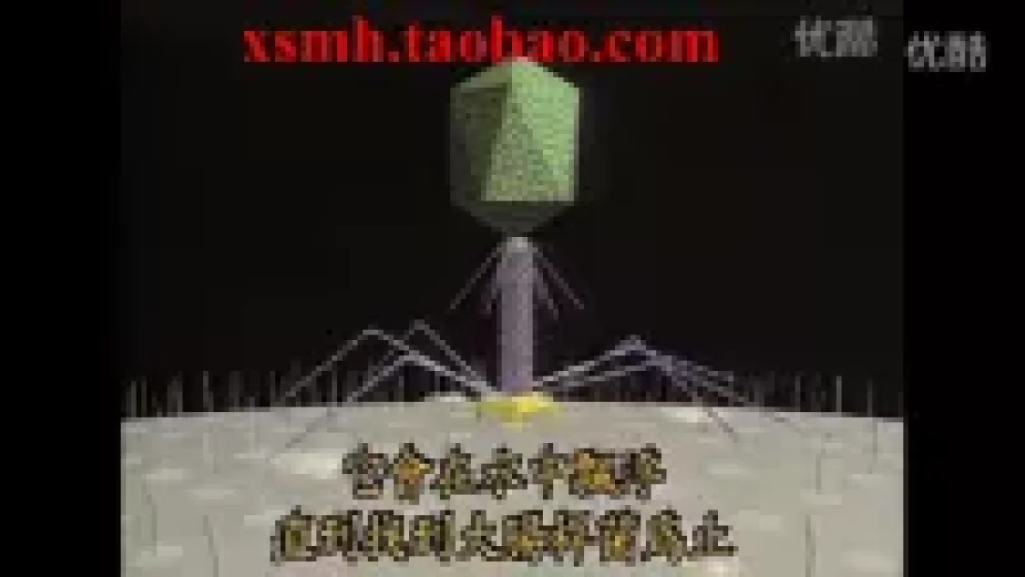 噬菌体侵染细菌实验视频 - 噬菌体侵染细菌