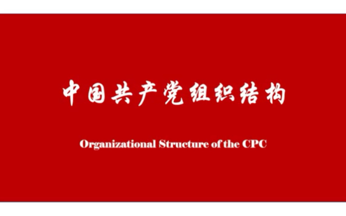 中国共产党组织结构解读