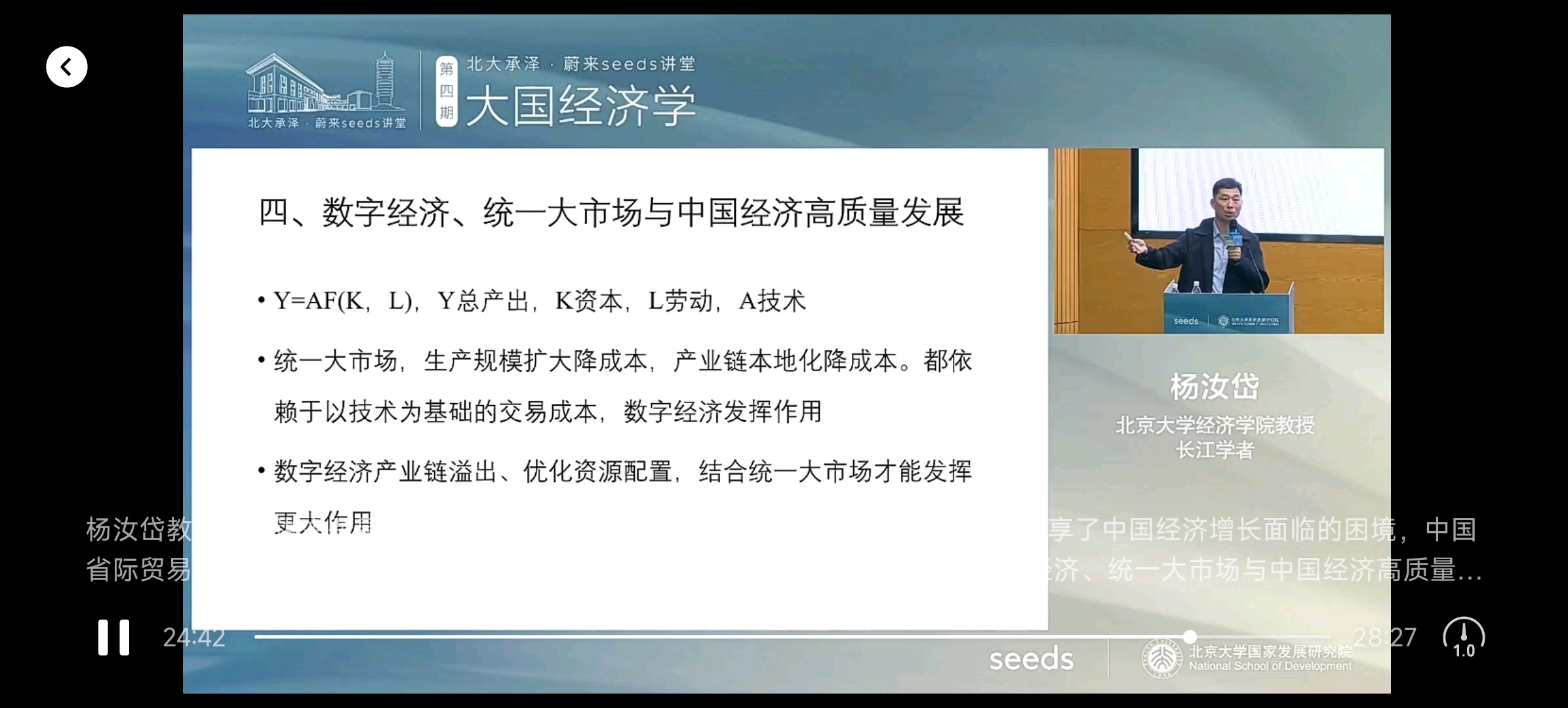 北大杨汝岱:数字经济、统一大市场与中国经济高质量发展