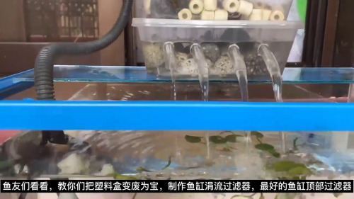 用塑料盒制作鱼缸涓流过滤器