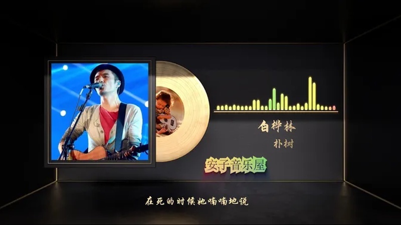 无损音质 朴树《白桦林》