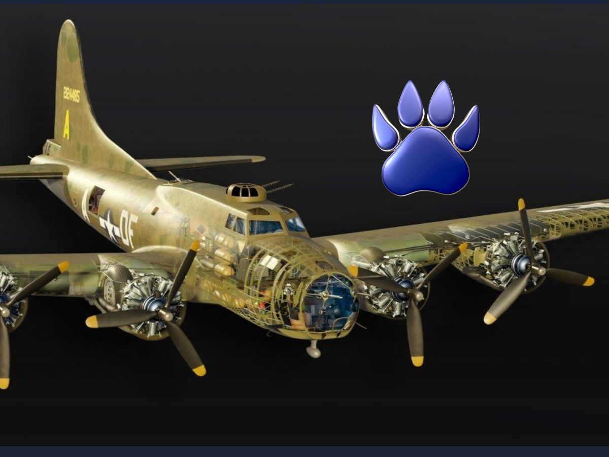 【熟肉】3D动画解构B-17空中堡垒【 Blue Paw Print】