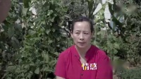 尊老、敬老、爱老、孝敬父母是中华民族的传统美德、弘扬正气,传播...