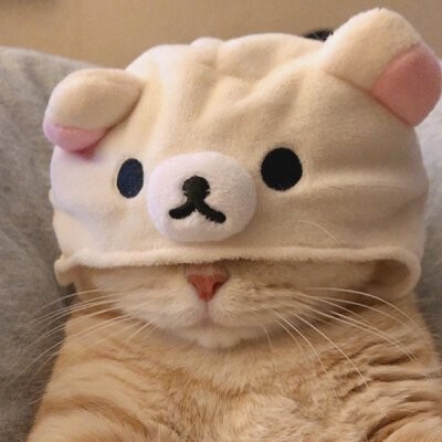 魔鬼公式人 