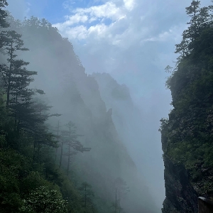 梦染苏沐橙 
