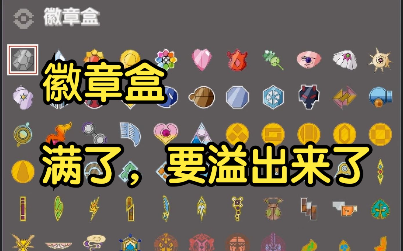 【宝可梦同人】1-8世代,73个徽章-宝可梦SA【开发日记#16】
