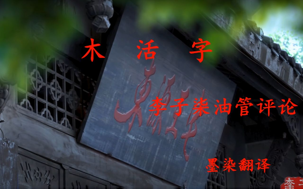 木活字,李子柒油管评论