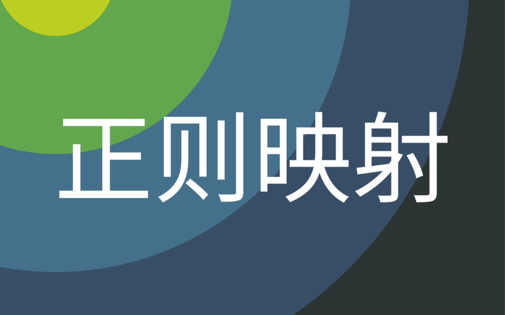 正则映射与反函数定理的整体化