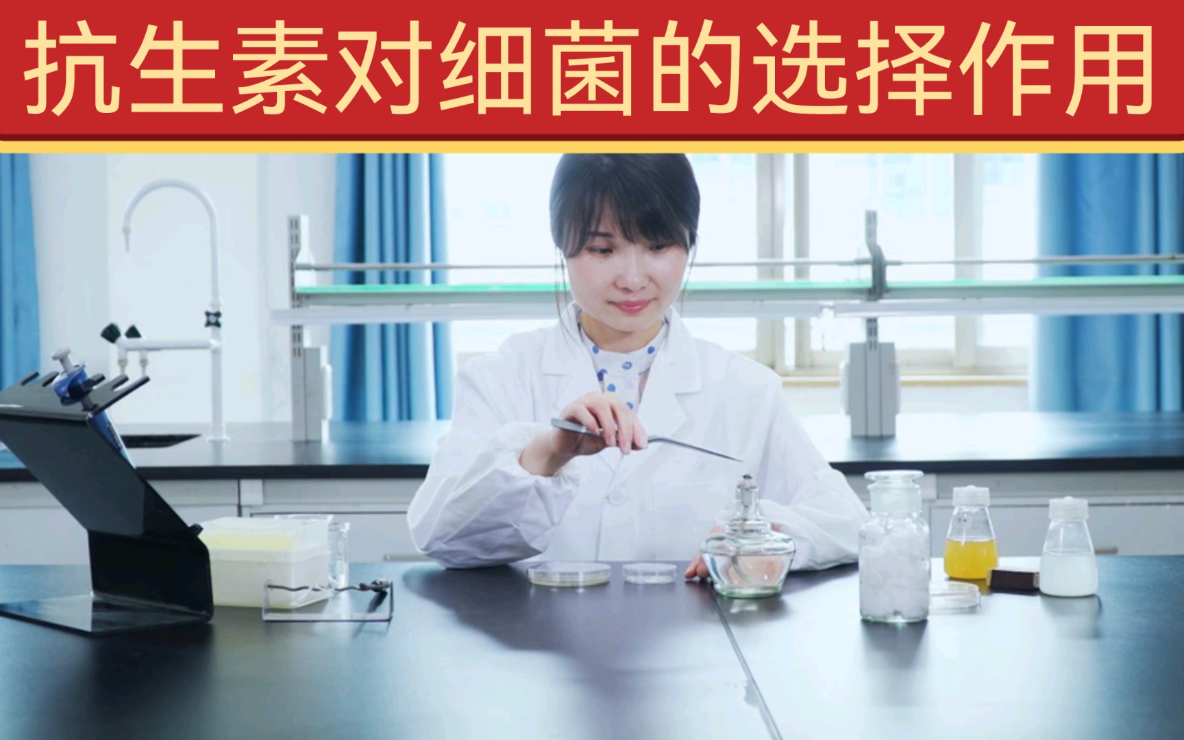 (高中理化生实验)探究抗生素对细菌的选择作用实验