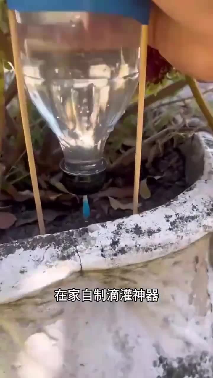 简单几步在家自制滴灌神器,从此以后成功解放双手