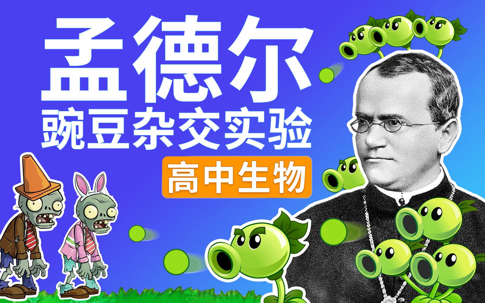 【孟德尔分离定律】豌豆杂交实验(上)- 高中生物必修二