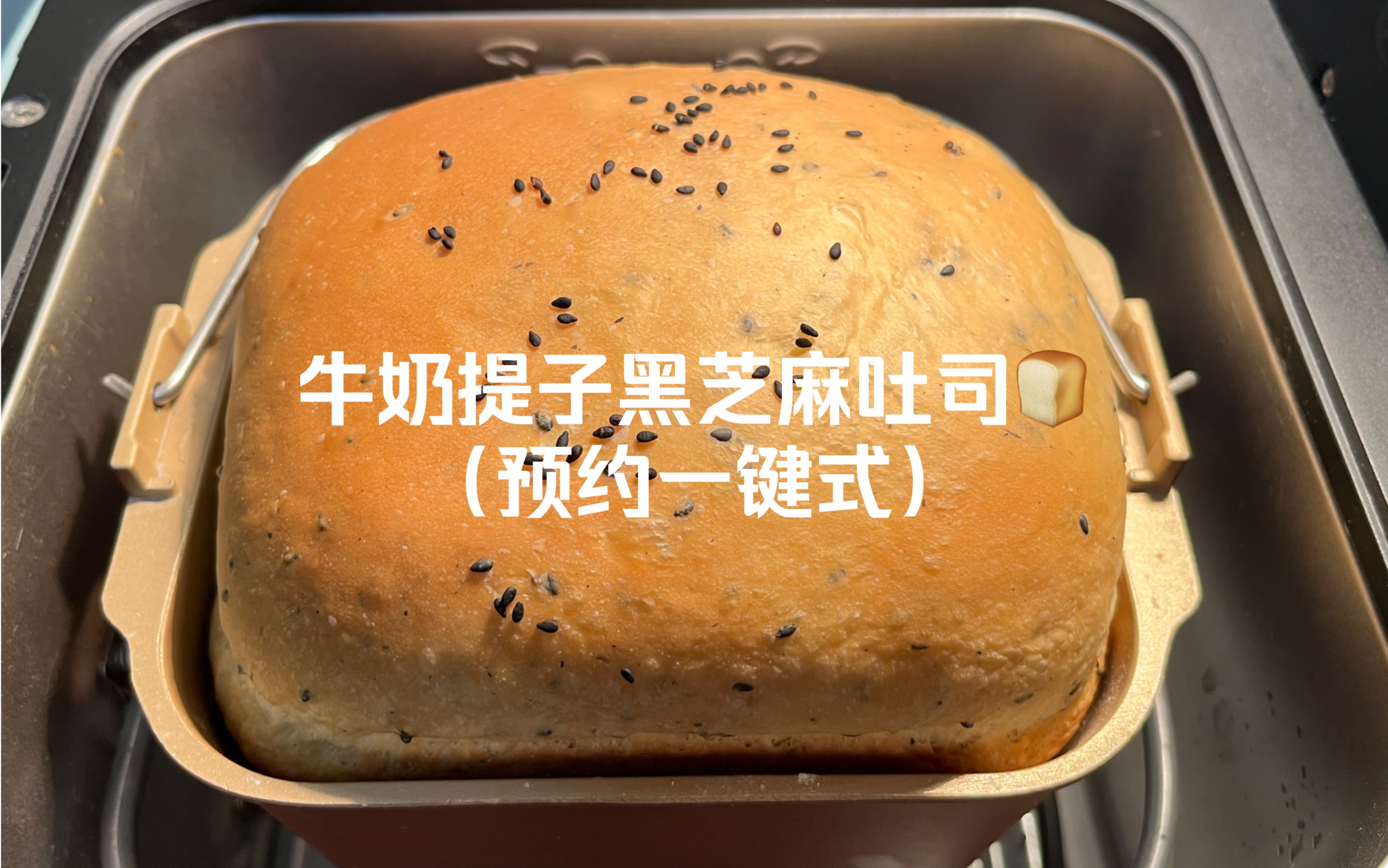 30秒学会面包机预约模式!太方便了