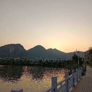 蜗牛开花 