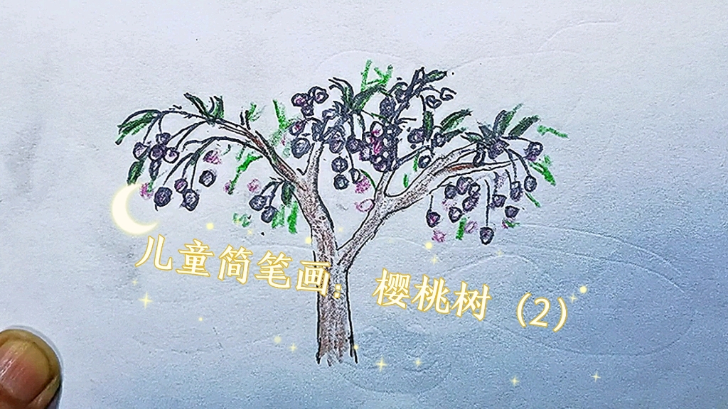 儿童简笔画:樱桃树(2)