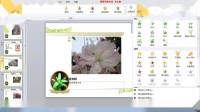 云飘课堂-powerpoint实验指导,p95 对幻灯片中的各个对象设置动画效果