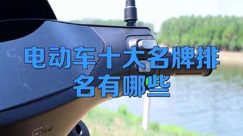电动车品牌排行榜前十名揭晓!谁才是你心中的王者?