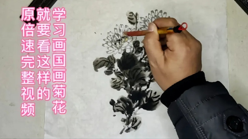 第344期画名师教你最简单的国画菊花画法
