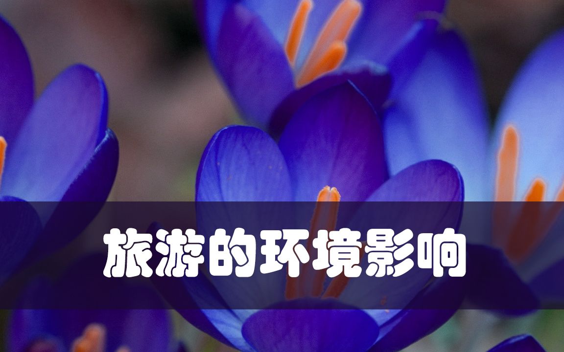 40旅游的环境影响