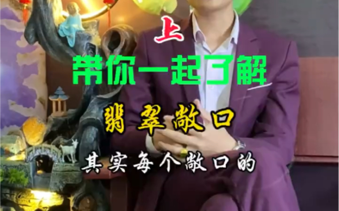 不识敞口 不玩翡翠 你懂几个翡翠敞口?