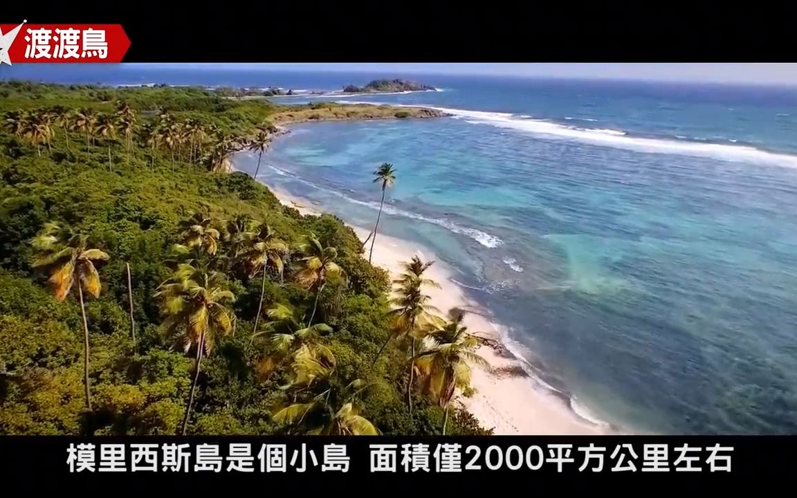 「渡渡鸟」- 只花70年时间,就因人类活动而灭绝的物种