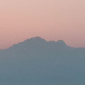 璗刻风骨 