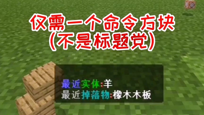【服务器必备指令】只用一个命令方块做出个人信息(不是标题党)