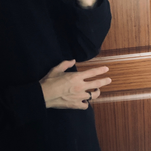 白鹤承 
