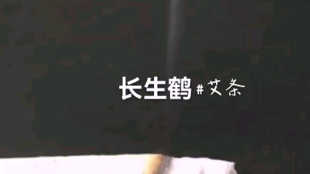 艾条熏房间能杀死螨虫或者驱蚊虫吗?
