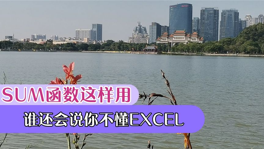SUM函数这样用,谁还会说你不懂EXCEL?