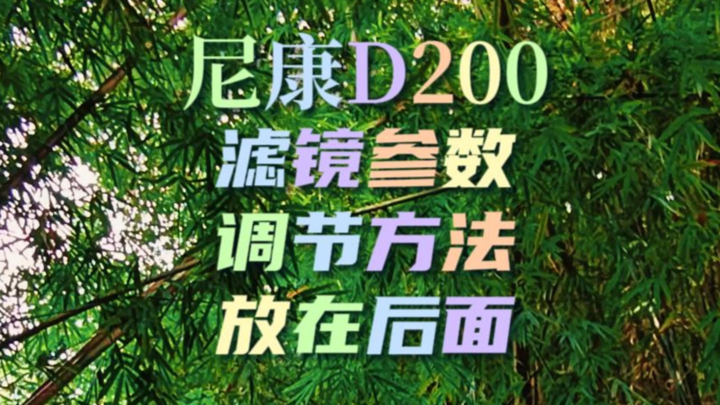 尼康D200胶片滤镜设置调节方法