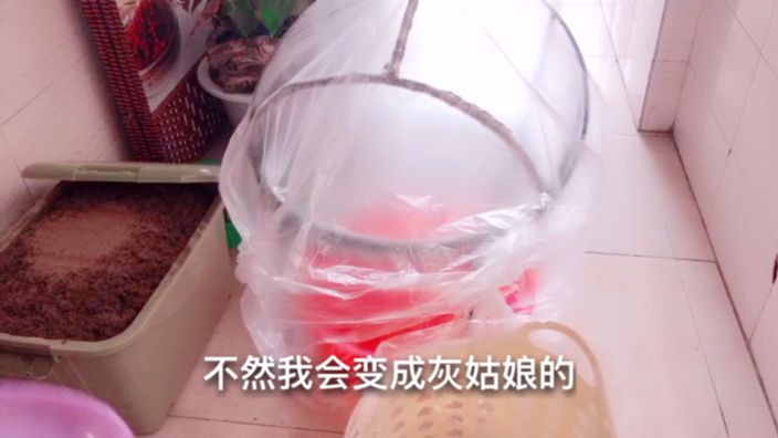 从艾叶到艾条,纯手工耗时3天才做162条,大家觉得值不值?