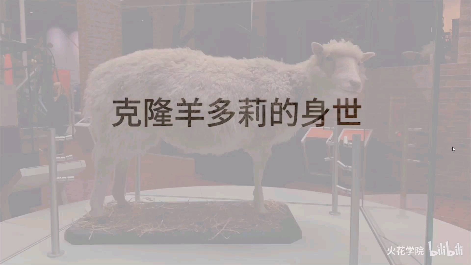 克隆羊多莉的秘密