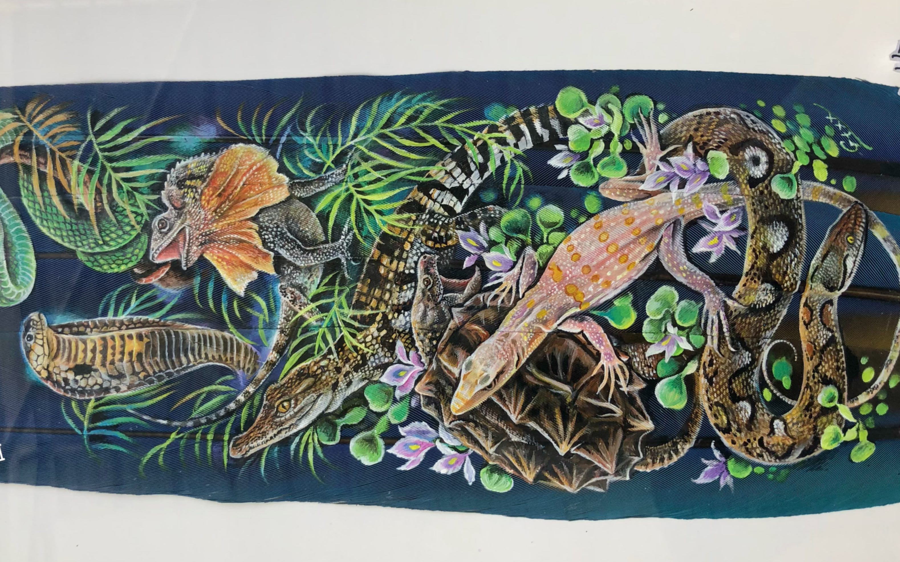 ...一件爬行动物主题的客订作品,大眼竹叶青,埃及眼镜蛇,伞蜥,大鳄龟,暹...