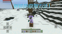 缘生解说我的世界:23秒学会树枝的获取方法,平安度过前期!