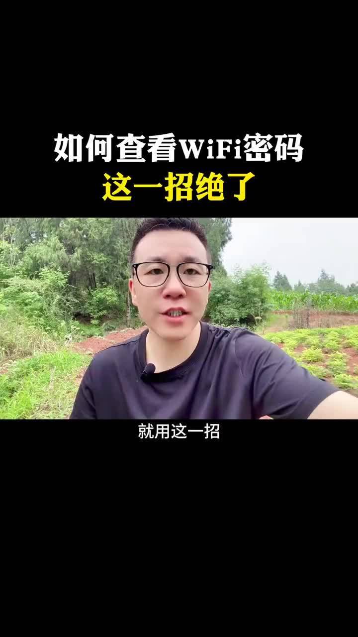 如何查看wifi密码?这一招绝了!