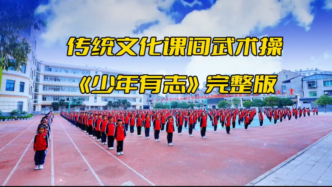 小学生课间集体武术操《少年有志》国学传统文化手势舞蹈,体育艺术...