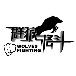 群狼格斗张教练