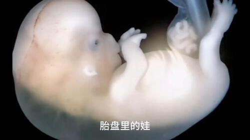 "胎儿运动模拟,揭秘宝宝在肚子里的小秘密!"