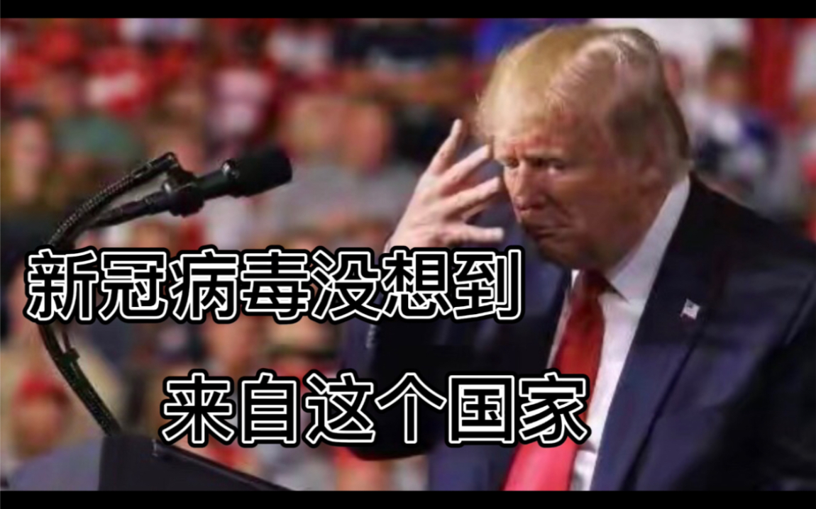 新冠病毒起源终于找到了