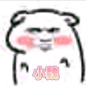 是聪明的小魏