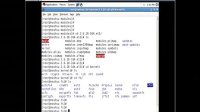 红帽linux视频教程:basic