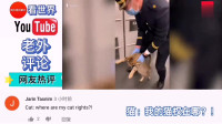 中国猫咪上高铁被扭送下车火到国外 老外:可怜的猫咪